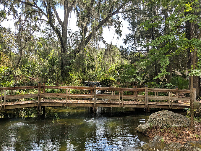 Rustic wooden bridges connect visitors to bubbling streams and hidden corners. Like walking through a storybook illustration come to life.