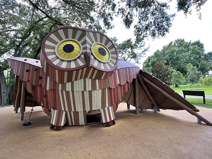 The whimsical owl playground watches over the park with hypnotic yellow eyes, practically daring kids not to have fun.