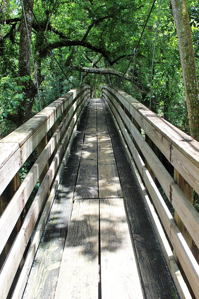 Walking this wooden suspension bridge feels like stepping into a scene from "The Lost World"&mdash;minus the dinosaurs, thankfully.