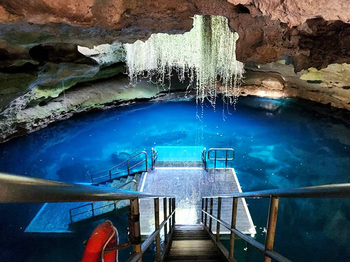 Devil's Den's ethereal blue waters glow beneath a natural skylight, creating an underground swimming experience unlike any other.
