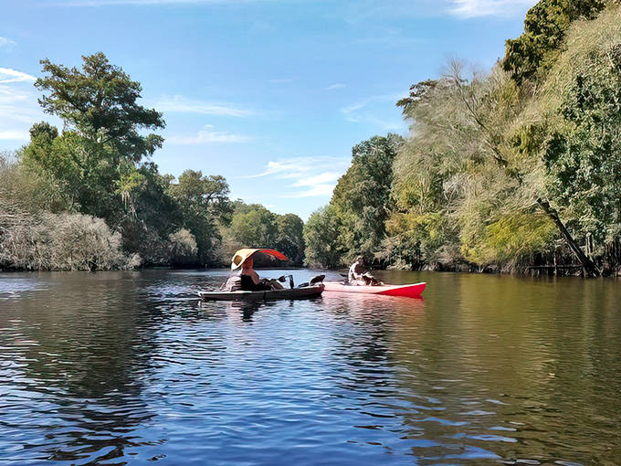 Peaceful paddlers glide along the Santa Fe River, surrounded by Florida's natural beauty and towering trees.