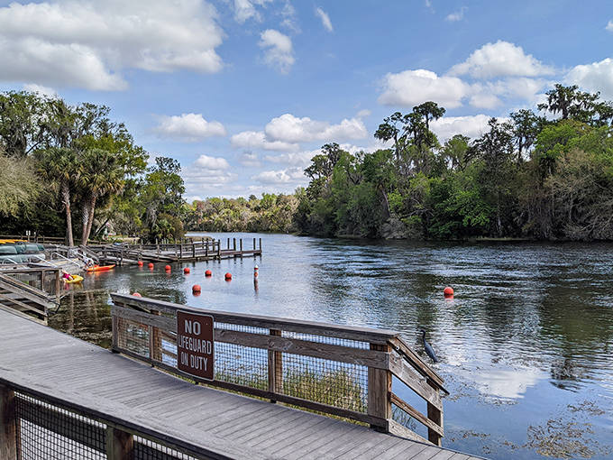 KP Hole Park offers access to the Rainbow River, where roped swimming areas provide safe spots to enjoy the crystal-clear waters.