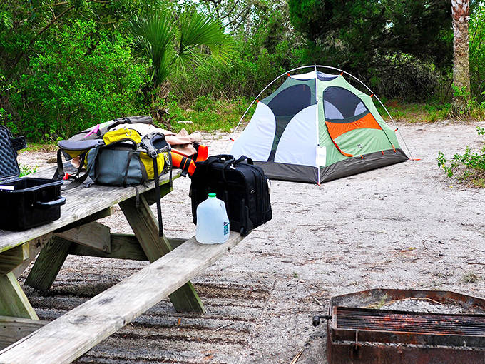 A campsite at Canaveral with a picnic table and fire ring, surrounded by the natural coastal vegetation that makes this area special.