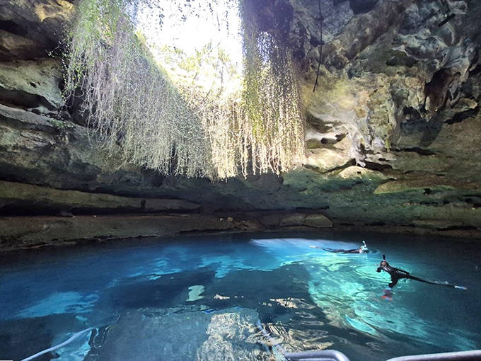 Snorkelers explore the prehistoric waters of Devil's Den, where sunlight creates magical beams through crystal-clear spring water.