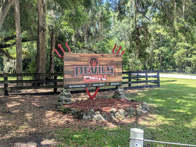 The unassuming entrance sign gives little hint of the ancient wonder waiting below – Florida's version of a speakeasy for nature lovers.
