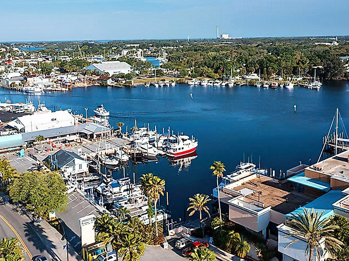 The sponge docks of Tarpon Springs burst with Mediterranean color, where Greek flags flutter above shops selling natural sponges harvested from Gulf waters.