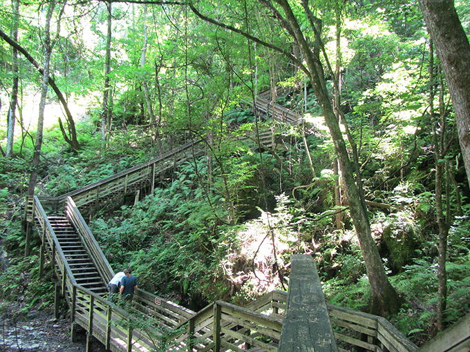 Wooden staircases wind through Devil's Millhopper's 120-foot deep sinkhole, inviting visitors to descend into a world of ferns, moss, and miniature waterfalls.