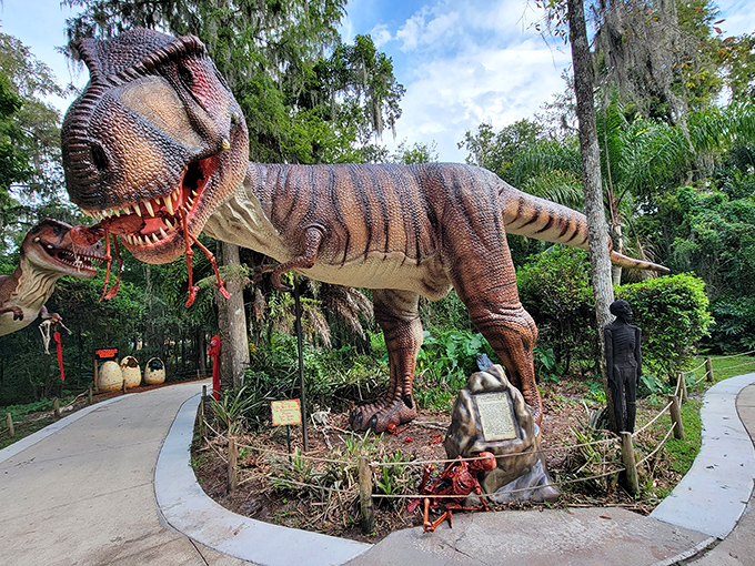 This fearsome T-Rex bares its teeth along the walking path at Dinosaur World, where families can walk among hundreds of prehistoric creatures without breaking the bank.