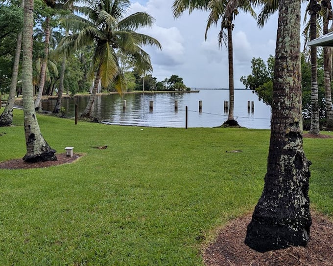 Palm-lined perfection! The waterfront grounds of the historic estates offer peaceful spots to contemplate both nature and American innovation.