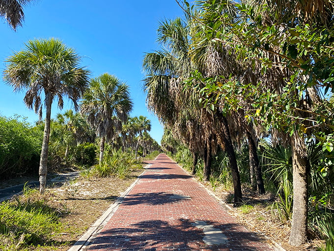 Hello, palm paradise! Strolling down this historic brick path surrounded by lush palms feels like a trip to another century.