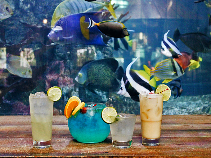 Signature cocktails served alongside a living aquarium create a drinking experience where the view competes with the flavors for your attention.