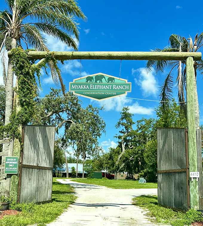 Driving through this unassuming entrance, you'd never guess you're about to meet some of the planet's most incredible creatures in their peaceful sanctuary.