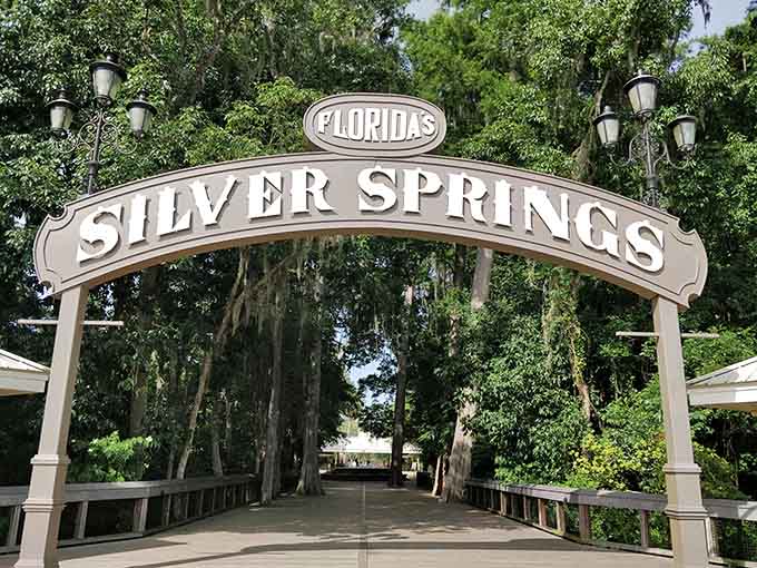 The classic entrance arch welcomes visitors to a world where monkeys swing and springs flow, basically Florida's way of saying "bet you didn't expect this" in architectural form.