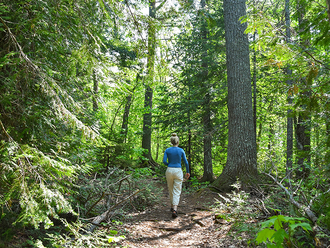 Estivant Pines Nature Sanctuary: Walking among 300-year-old white pines puts life's little problems into perspective rather quickly.