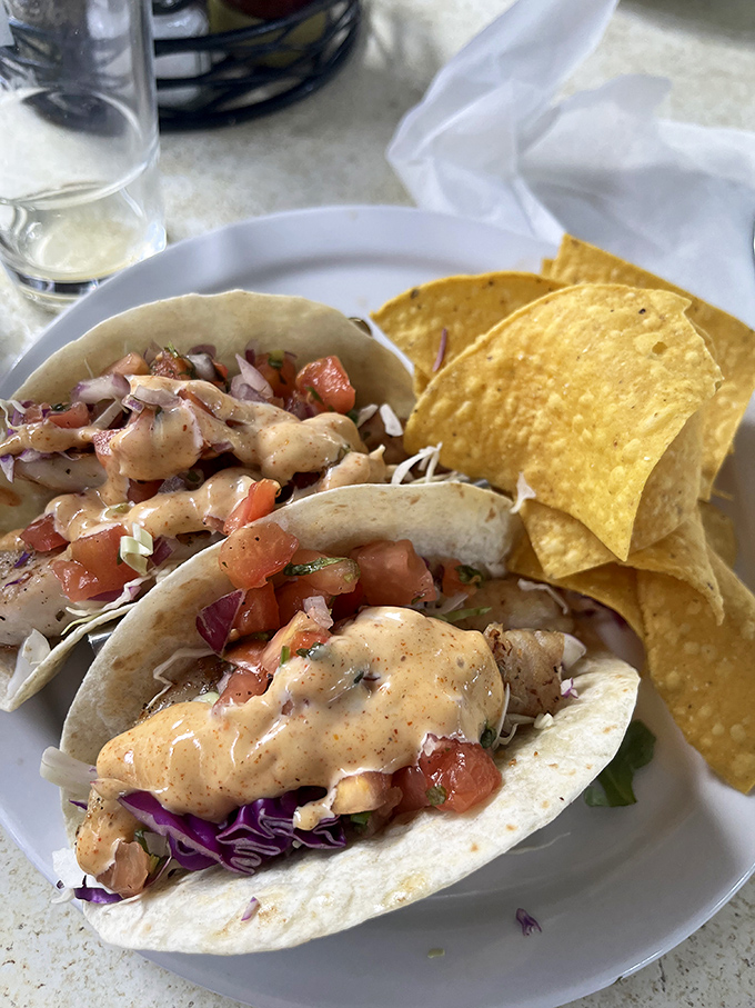 Fish tacos that make you question all previous taco experiences &ndash; fresh catch nestled in soft tortillas with crisp cabbage and a sauce worth bottling.