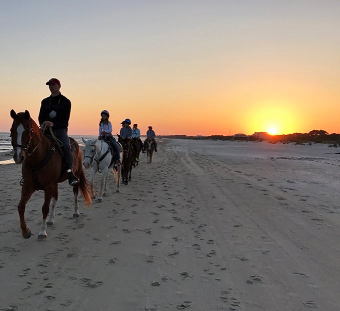 Hoofprints in wet sand tell stories of adventures past, while horses stand ready for the next journey along the shoreline.