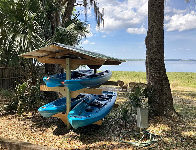 Blue kayaks waiting patiently for your next adventure &ndash; like loyal pets that actually enjoy getting wet.