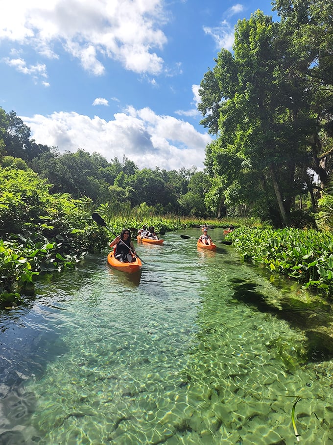 Social distancing, nature-style! Kayakers enjoy their own slice of paradise on this emerald highway through Florida's wild heart.
