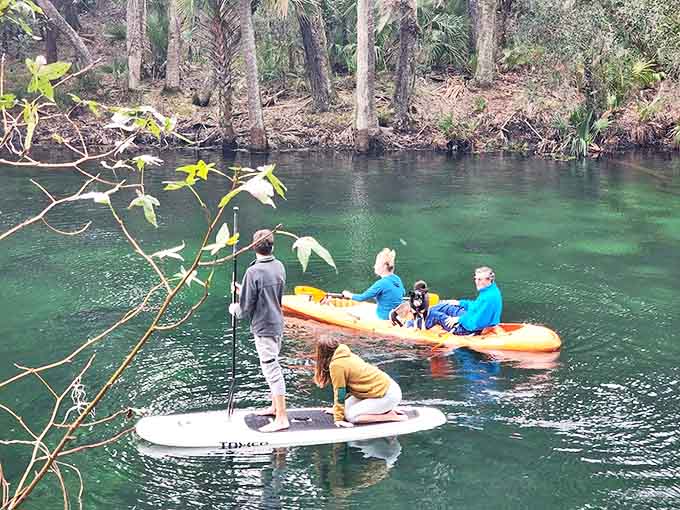 Kayaking: Adventure seekers paddle through pristine waters while others relax on a floating platform &ndash; Florida's version of a multi-tasking workout.