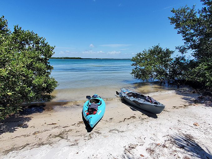 Kayaks: Colorful vessels rest at the water's edge, ready to transport explorers through mangrove tunnels and dolphin playgrounds.