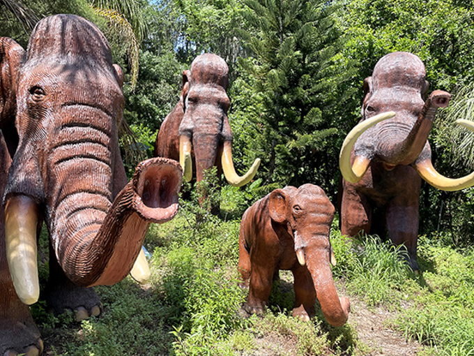 These woolly mammoths, with their impressive tusks and shaggy coats, remind us Florida wasn't always a tropical paradise.