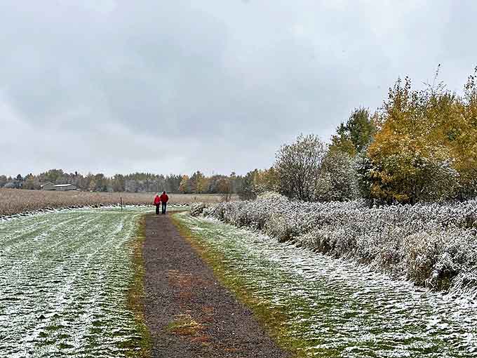 The path to geographical significance winds through seasonal changes, offering different perspectives on this mathematical landmark year-round.