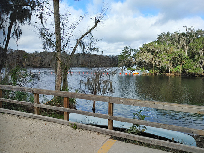 River Kayak Launch: Adventure awaits beyond the boardwalk, where colorful kayaks dot the river like confetti on nature's playground.