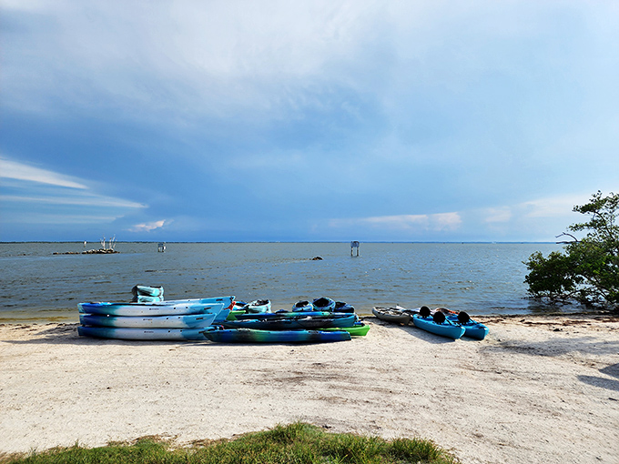 Paradise found: crystalline waters meet pristine shores, creating the perfect launching point for unforgettable aquatic adventures.