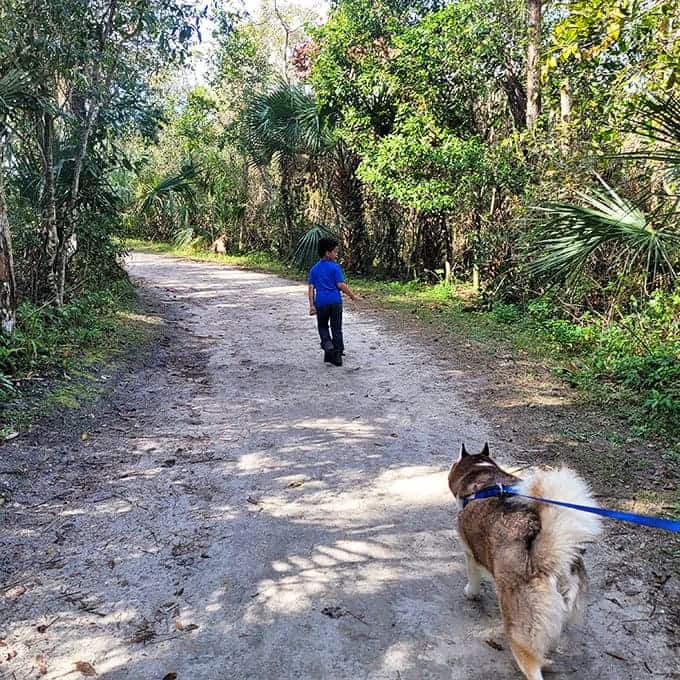 Four-legged hiking companions approve of this trail's dog-friendly policy and excellent sniffing opportunities at every turn.