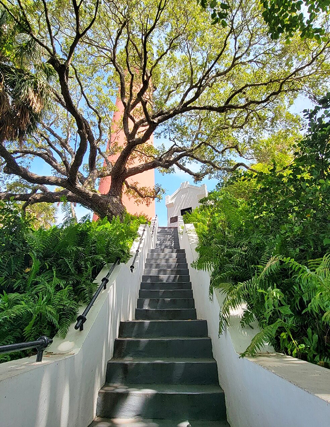 Gray steps ascend through tropical greenery like a stairway to heaven &ndash; if heaven had spectacular ocean views.
