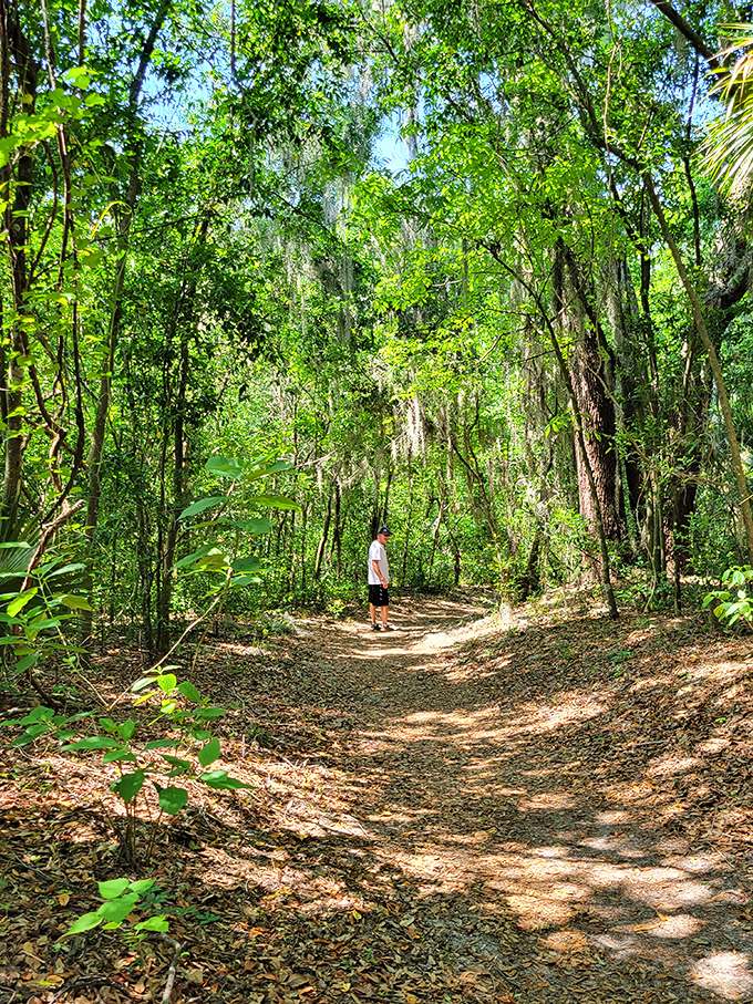 Walking these trails feels like stepping into Florida's family photo album &ndash; the one from way before humans showed up with their concrete and condos.