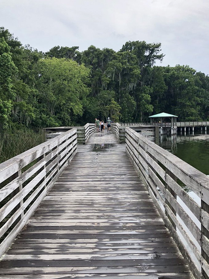 The weathered boardwalk invites explorers to venture deeper into the park's secrets, each plank a step further from everyday worries.