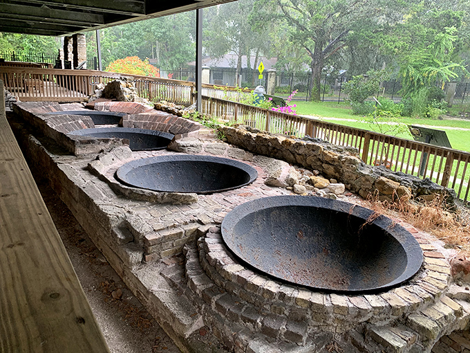 These massive iron cauldrons once transformed sugar cane into sweet profits, now sitting silent amid the ruins like industrial-age cooking pots for giants.