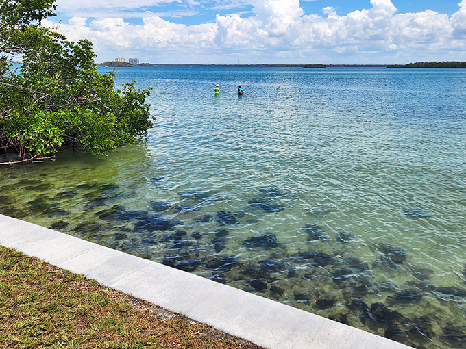 Crystal clear waters meet pristine shoreline where wading becomes a meditation and worries dissolve faster than footprints at high tide.