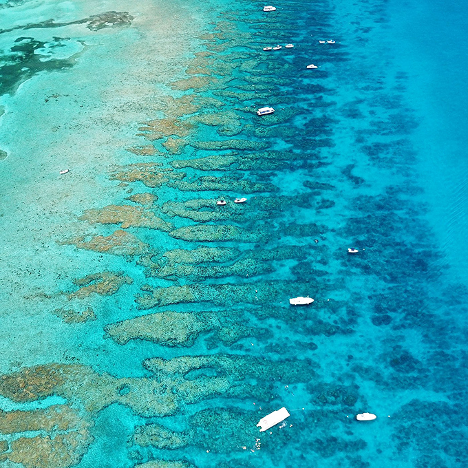 Crystal clear waters reveal a submerged world so vibrant it makes you wonder why we bother with land-based activities at all.