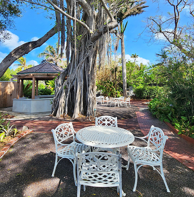 Ancient banyan trees create natural gathering spaces, their sprawling roots and branches forming living architecture.