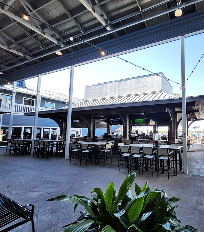 Open-air dining spaces where the only thing fresher than the seafood is the conversation flowing between tables of sun-kissed patrons.