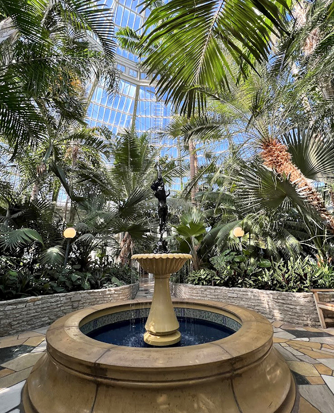 The conservatory's fountain creates a peaceful oasis, inviting visitors to make wishes or just appreciate not being at work.