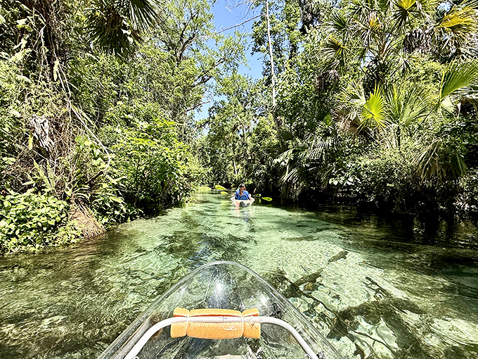 Paddle perspective: From this vantage point, you're not just on the water &ndash; you're practically part of it.