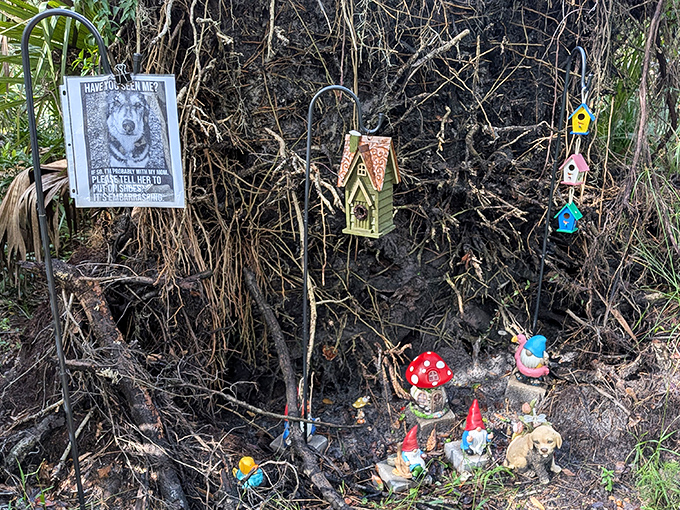 The unofficial gnome village &ndash; where tiny garden decorations have established their own wilderness community. Florida quirk at its finest!