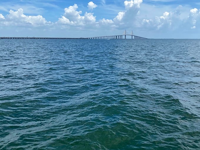 The Sunshine Skyway Bridge stretches across Tampa Bay's horizon, connecting the mainland to adventures beyond Egmont Key.