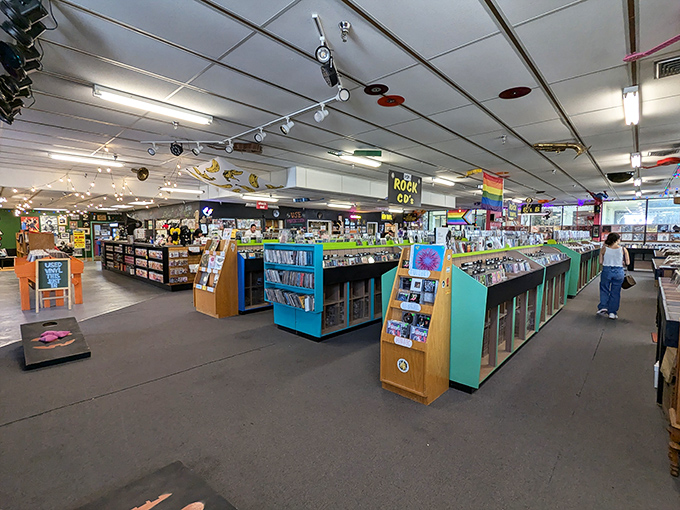 The colorful, organized chaos of Bananas' main floor invites hours of browsing, with each bin promising undiscovered musical treasures.