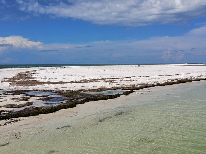 Nature's canvas: Where white sand meets clear shallows in a masterpiece no artist could improve.