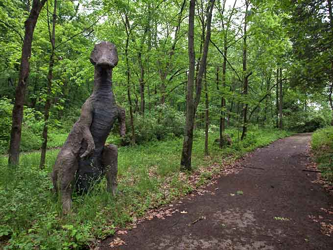Sunlight filters through the canopy, creating dappled shadows on trails once filled with excited families.