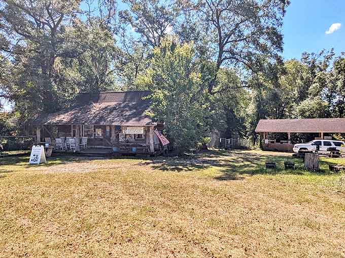 The rustic visitor center blends perfectly with its natural surroundings, a humble gateway to extraordinary wild encounters waiting just beyond.