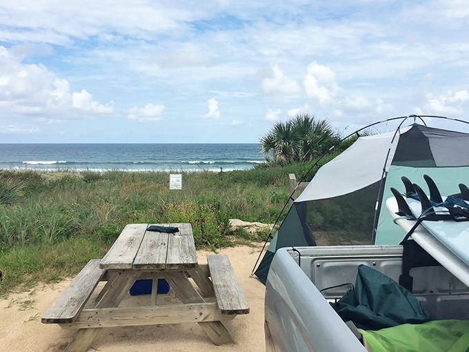 A travel trailer parked in a tropical paradise with palm trees providing natural shade &ndash; Gamble Rogers' version of beachfront luxury.
