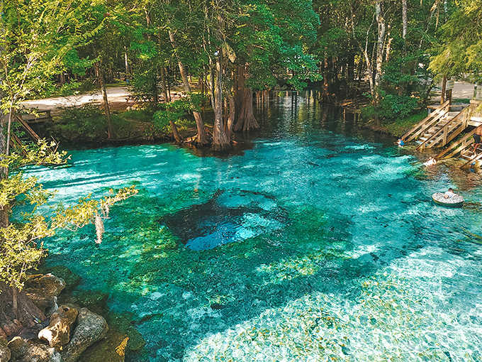 Ginnie Springs' famous blue waters reveal an underwater landscape of limestone formations, creating a natural aquarium effect that draws visitors year-round.