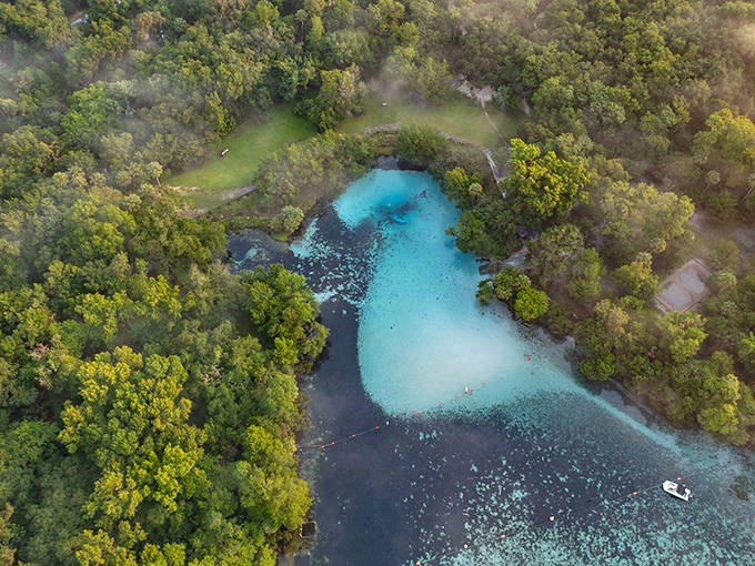 Ocala National Forest's turquoise springs appear almost tropical from above, a hidden oasis amid Florida's largest forest.