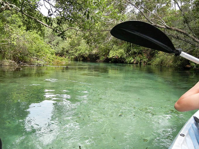 A kayaker glides through Weeki Wachee's impossibly clear waters, where every paddle stroke seems to disturb nothing but your sense of reality.