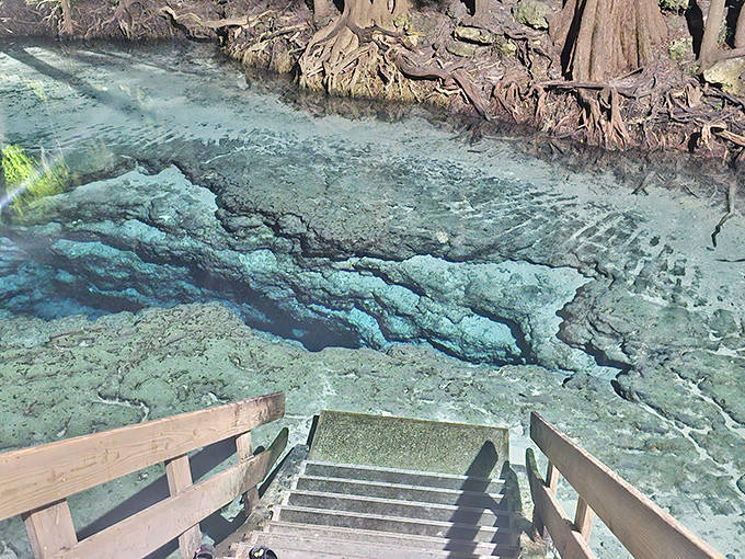 A wooden staircase leads into the transparent blue depths of Ginnie Springs, where the limestone bottom creates fascinating patterns visible from above.